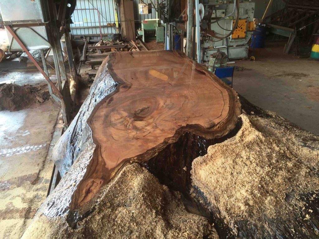 The "Family Tree" Dining Table Story; from Forest Floor to Gallery ...
